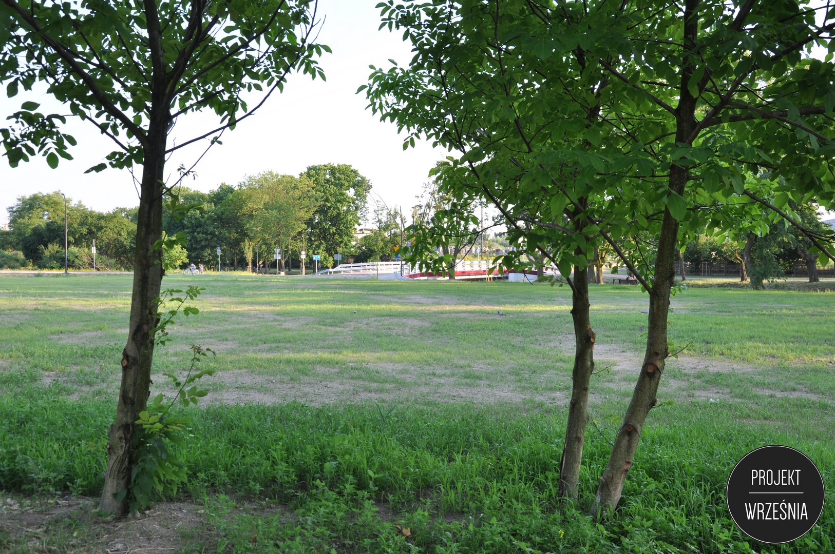 Petycja za psim wybiegiem – Projekt Września