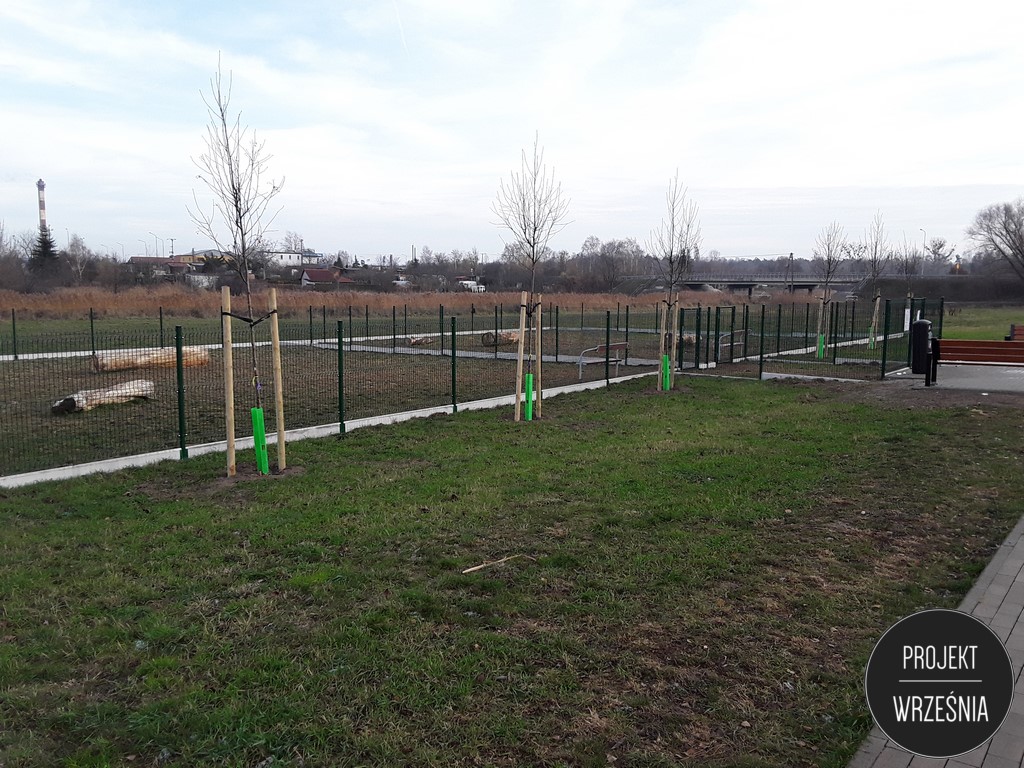 Kilka podsumowań na temat psiego wybiegu – Projekt Września